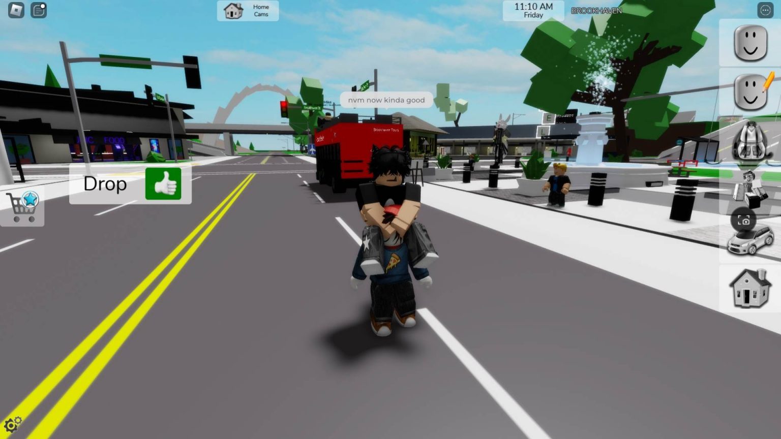 Brookhaven RP: A Friendly Beginner's Guide for New Players